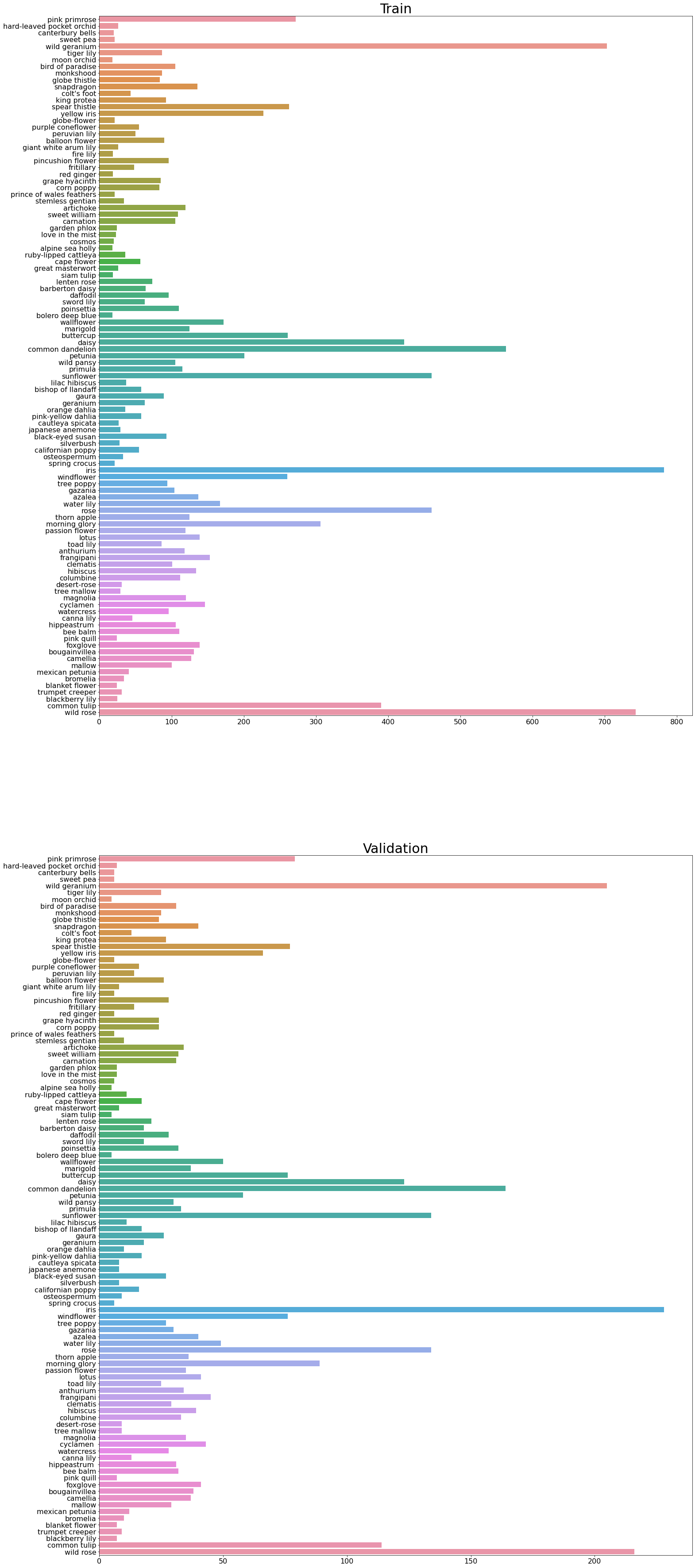 Flower classification workflow on Kaggle | Luc Kuenemann